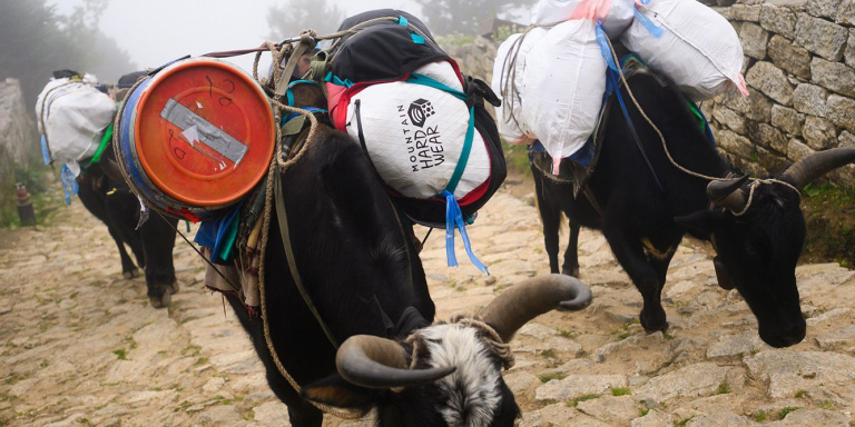 What Gear to Bring on an Expedition - Madison Mountaineering